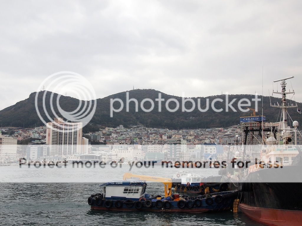 Korea Day 2 – Jagalchi Market, Gamcheon Cultural Village & BIFF Square ...